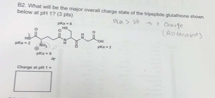 Solved B2. What will be the major overall charge state of | Chegg.com
