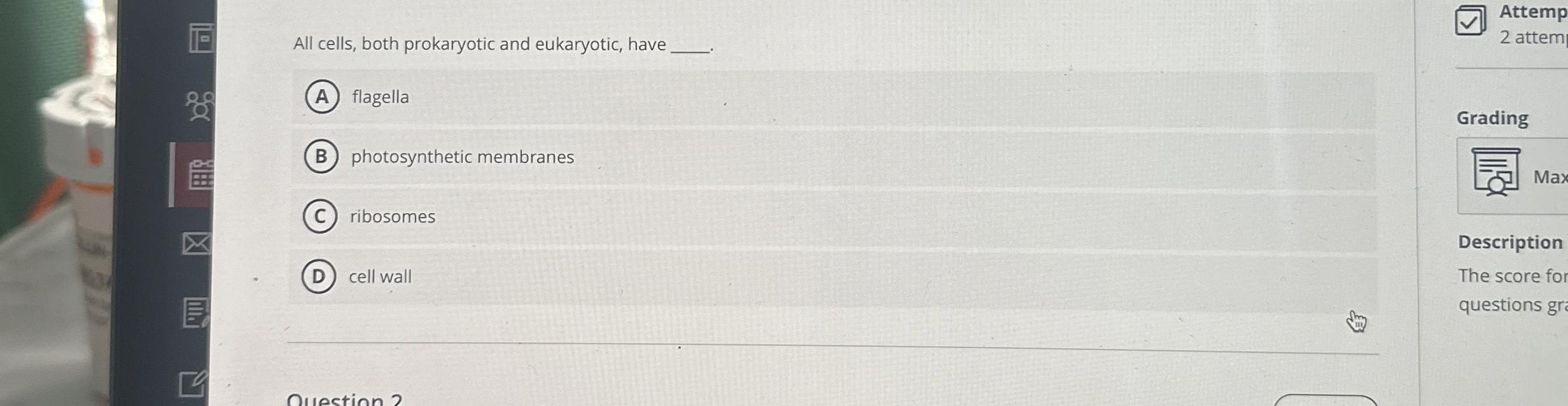 Solved All cells, both prokaryotic and eukaryotic, | Chegg.com