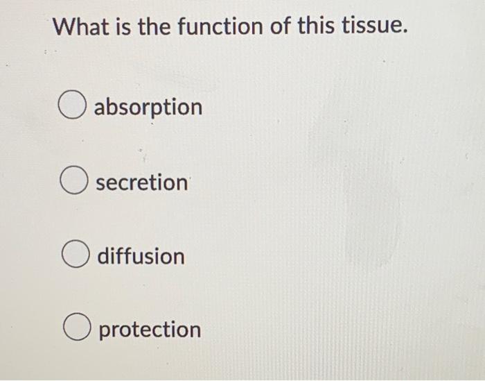 Solved What is the function of this tissue. absorption | Chegg.com