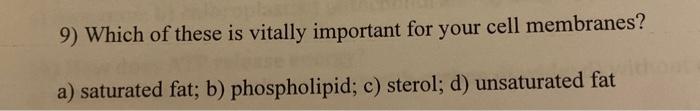 Solved 9) Which of these is vitally important for your cell | Chegg.com
