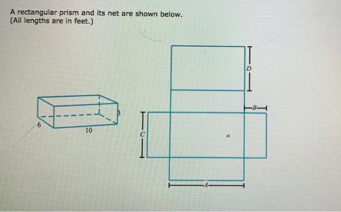 Solved A rectangular prism and its net are shown below. (All | Chegg.com