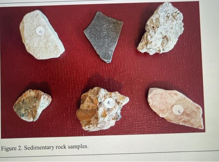 Solved Figure 2. Sedimentary rock samples.1. Sample G has | Chegg.com