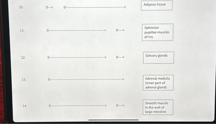 Solved For each of the following scenarios: 1. State the | Chegg.com
