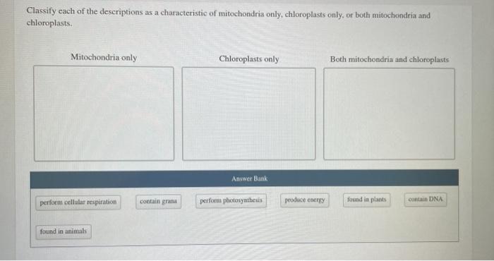 Solved Classify each of the descriptions as a characteristic | Chegg.com