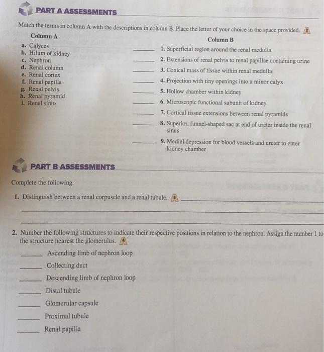 Solved PART A ASSESSMENTS Match the terms in column A with | Chegg.com