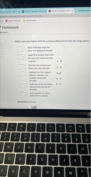 Solved Question 3 (3 points) Match each description with | Chegg.com