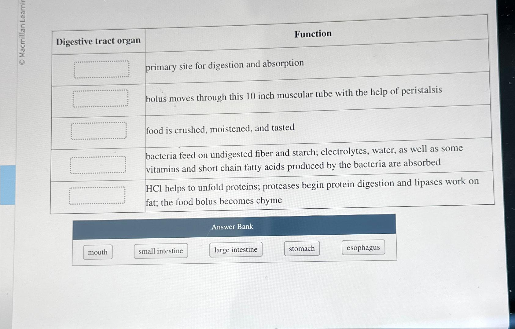 Solved \table[[Digestive tract organ,Function],[,primary | Chegg.com