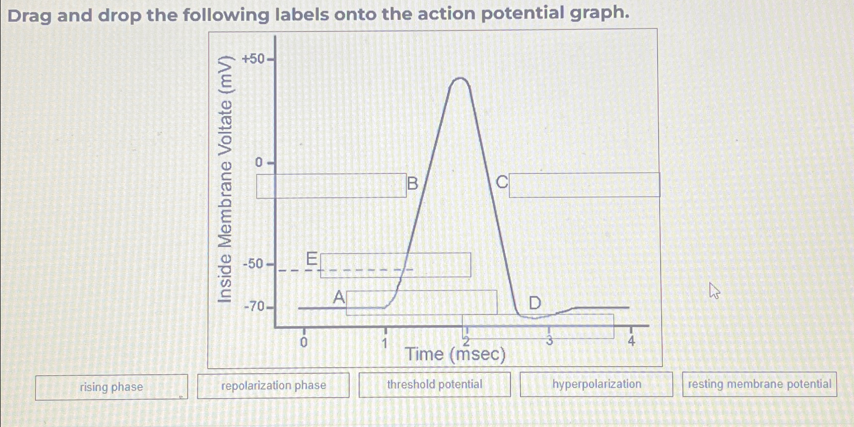 Solved Drag and drop the following labels onto the action | Chegg.com