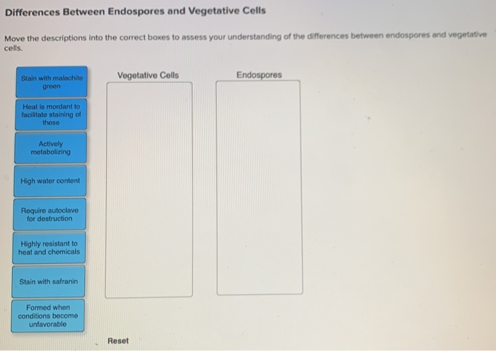 Solved Differences Between Endospores and Vegetative Cells | Chegg.com