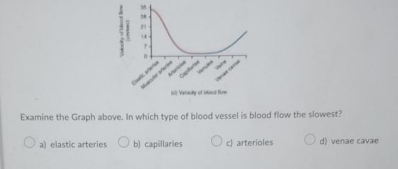 Solved Examine the Graph above. In which type of blood | Chegg.com