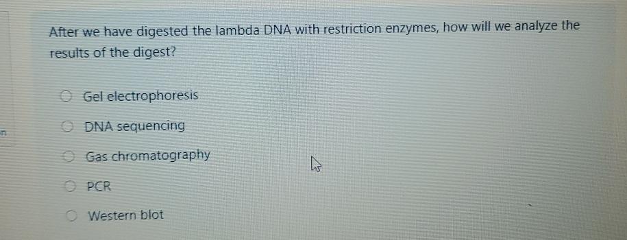 Solved After we have digested the lambda DNA with | Chegg.com