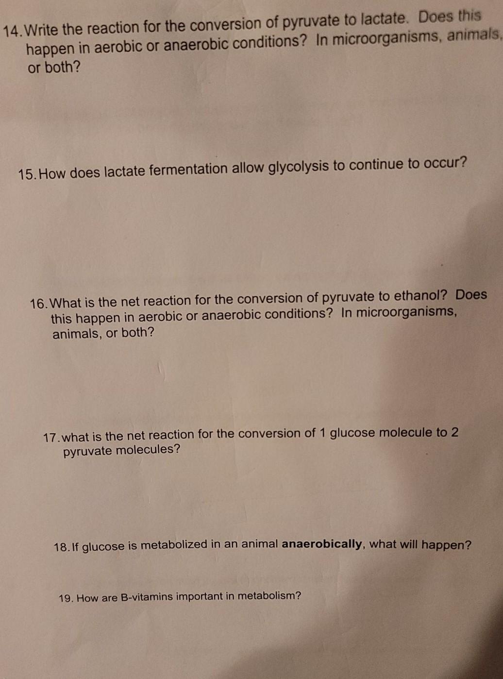 Solved 14. Write the reaction for the conversion of pyruvate | Chegg.com