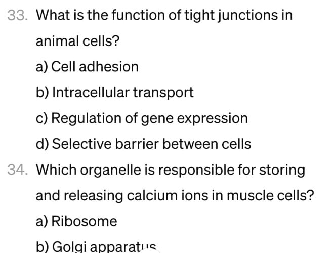 Solved What is the function of tight junctions in animal | Chegg.com