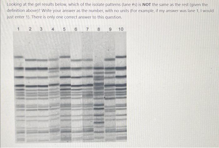 Solved Compare the DNA fingerprints from seven of the | Chegg.com