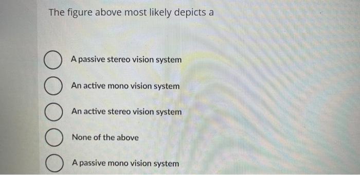 Solved The figure above most likely depicts a The figure | Chegg.com