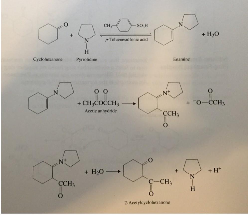 Solved Cyclohexanone Pyrrolidine Enamine | Chegg.com