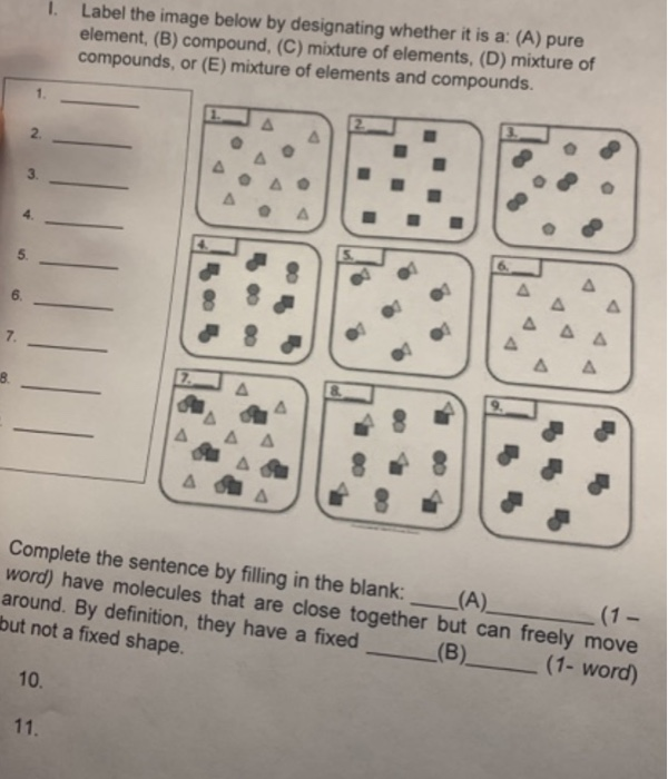Solved I Label the image below by designating whether it is | Chegg.com