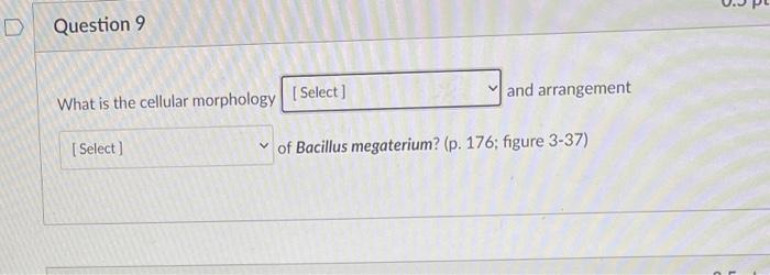 Solved What is the cellular morphology and arrangement of | Chegg.com