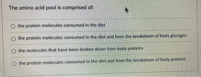 Solved The amino acid pool is comprised of: O the protein | Chegg.com