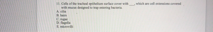 Solved , which are cell extensions covered 11. Cells of the | Chegg.com
