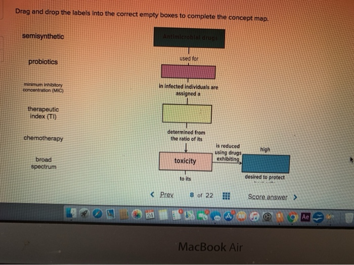 Solved Drag And Drop The Labels Into The Correct Empty Boxes
