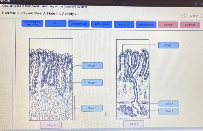 Solved ye.com | Chegg.com