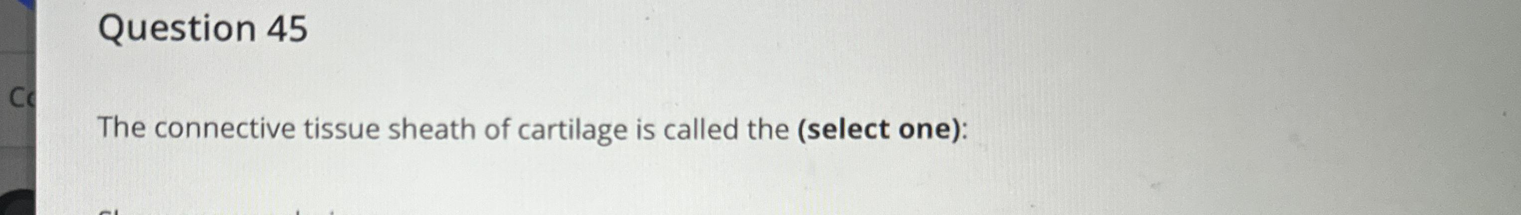 Solved Question 45The connective tissue sheath of cartilage | Chegg.com