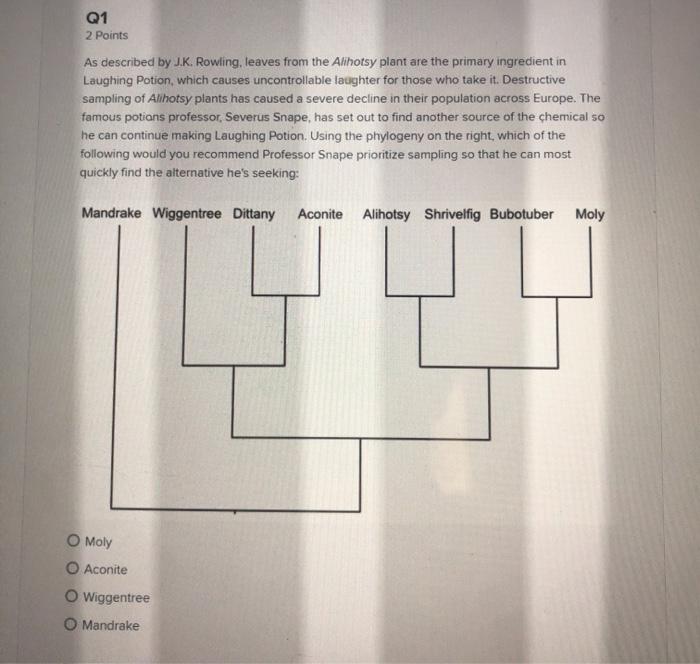 Solved Q1 2 Points As described by J.K. Rowling, leaves from | Chegg.com