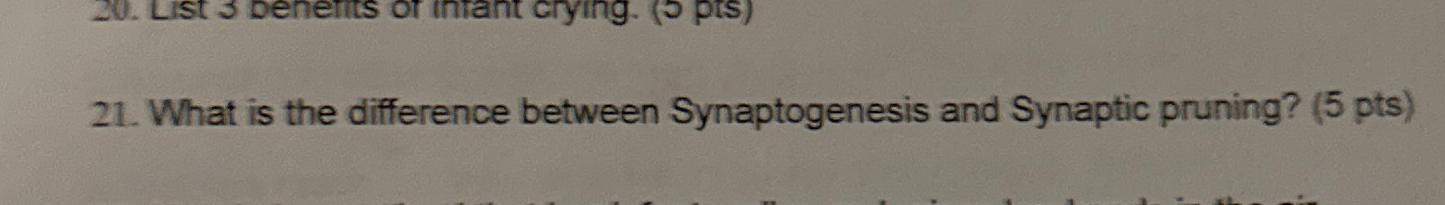Solved What is the difference between Synaptogenesis and | Chegg.com