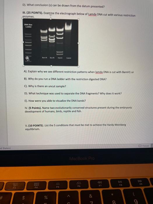 Solved D). What conclusion (s) can be drawn from the datum | Chegg.com