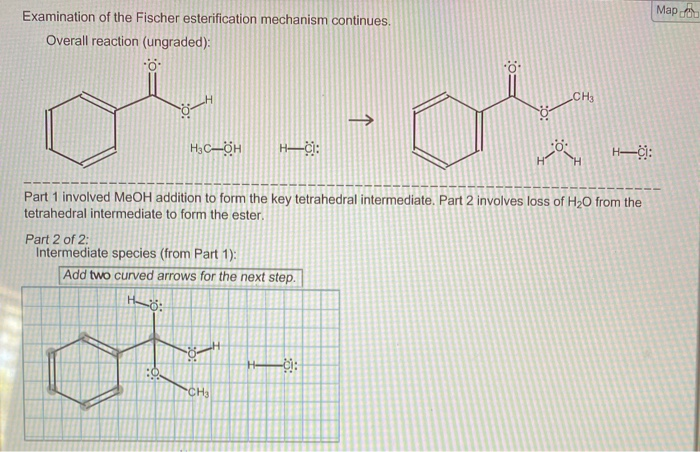 Solved Map Examination of the Fischer esterification | Chegg.com
