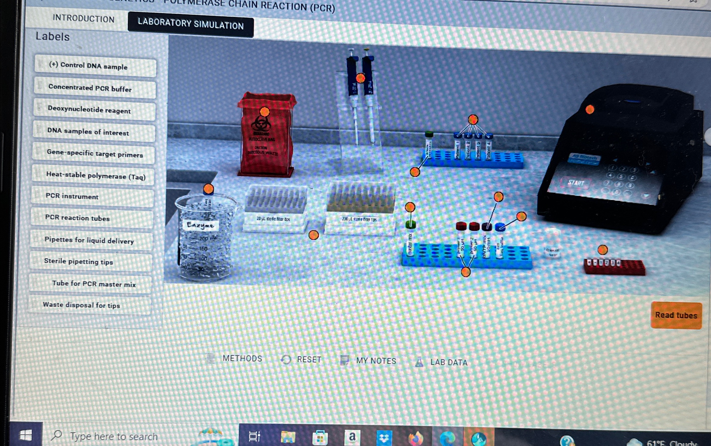 Solved MERASE CHAIN REACTION (PCR)INTRODUCTIONLABORATORY | Chegg.com