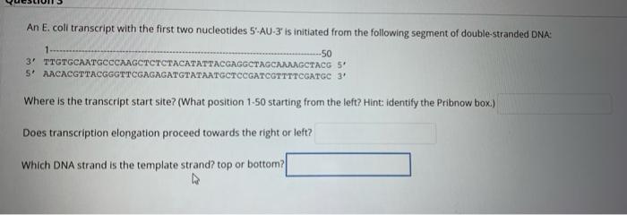 Solved An E.coli transcript with the first two nucleotides | Chegg.com