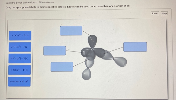 Solved Label the bonds on the sketch of the molecule. Drag | Chegg.com