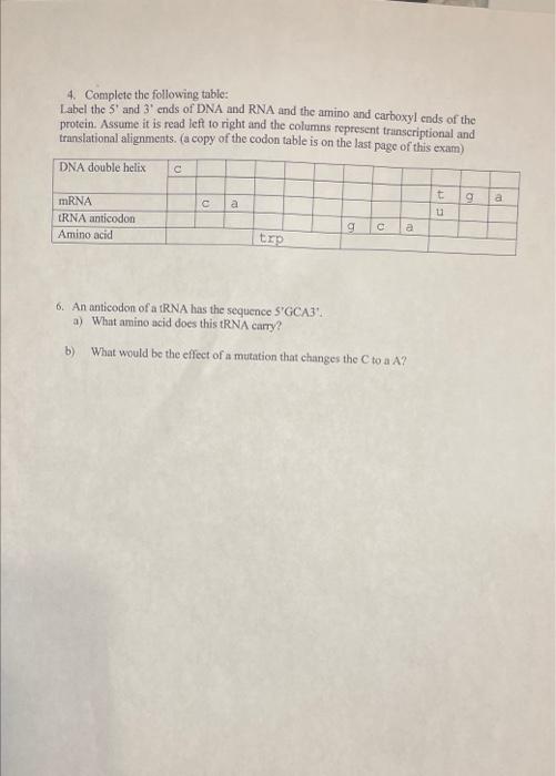 4. Complete the following table: Label the 5′ and 3′ | Chegg.com