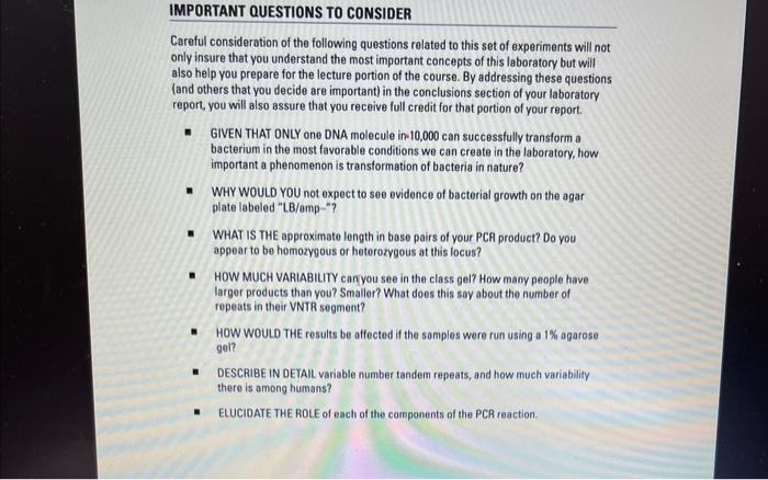 Solved Careful consideration of the following questions | Chegg.com