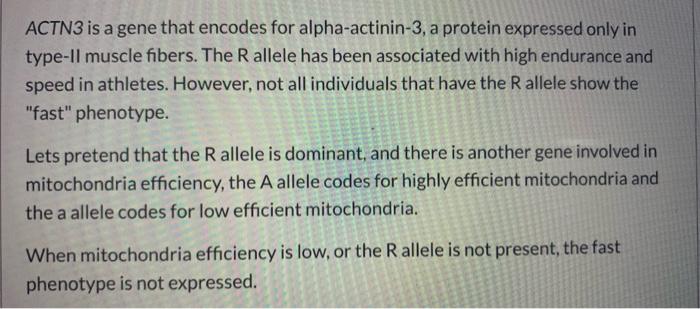 Solved ACTN3 is a gene that encodes for alpha-actinin-3, a | Chegg.com