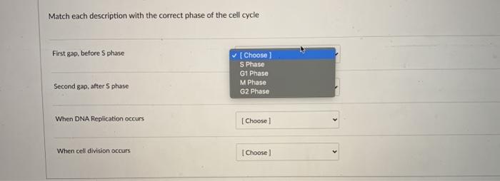 Solved Match each description with the correct phase of the | Chegg.com