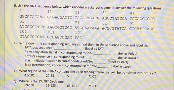 Solved 121 II. Use the DNA sequence below, which encodes a | Chegg.com