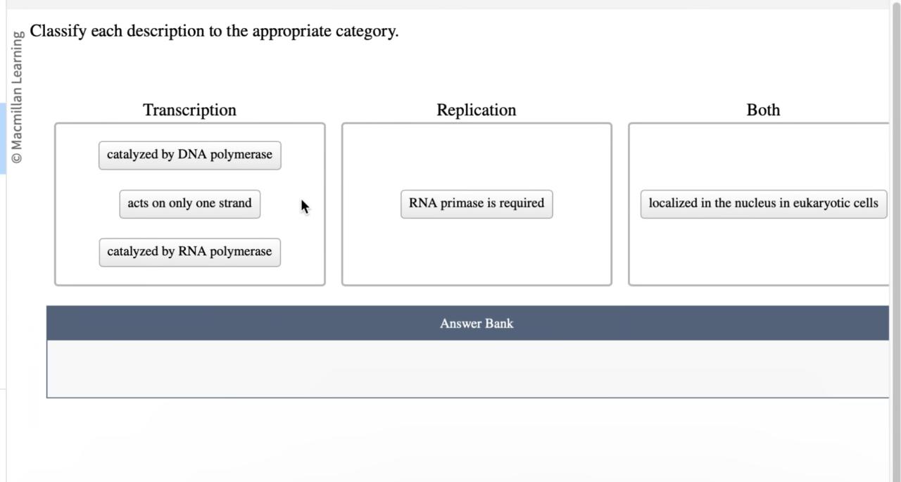 Solved Classify each description to the appropriate | Chegg.com
