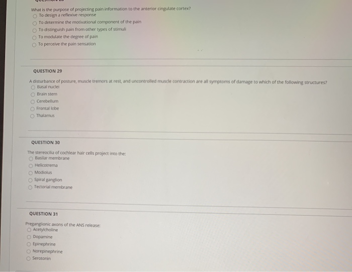 Solved What is the purpose of projecting pain information to | Chegg.com