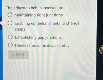 Solved The adhesion belt is involved inMaintaining tight | Chegg.com