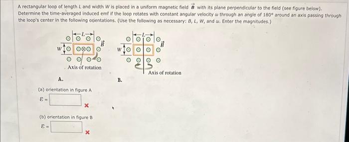 Solved A rectangular loop of length L and width W is placed | Chegg.com