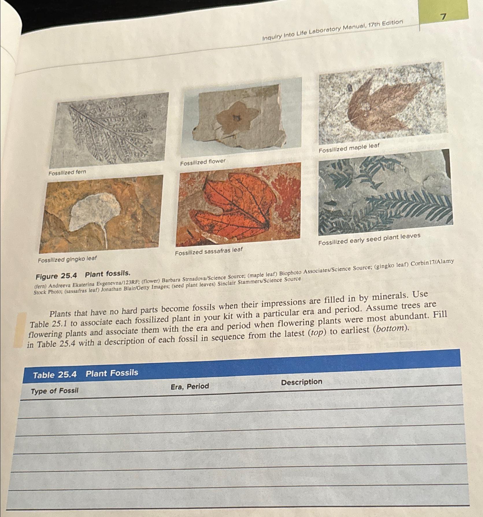 Solved Inquiry Into Life Laboratory Manual, 17th | Chegg.com