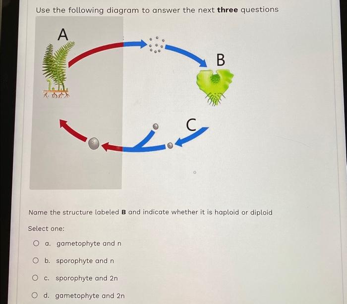 Solved Use the following diagram to answer the next three | Chegg.com
