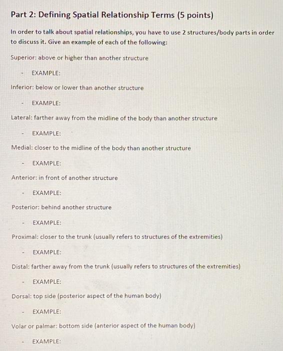 Solved Part 2: Defining Spatial Relationship Terms (5 | Chegg.com