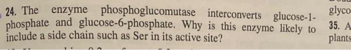 Solved 24. The enzyme phosphoglucomutase interconverts | Chegg.com