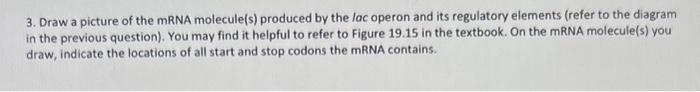 Solved 3. Draw a picture of the mRNA molecule(s) produced by | Chegg.com