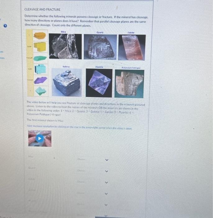 Solved What do these 3 specimens have in common? How do | Chegg.com