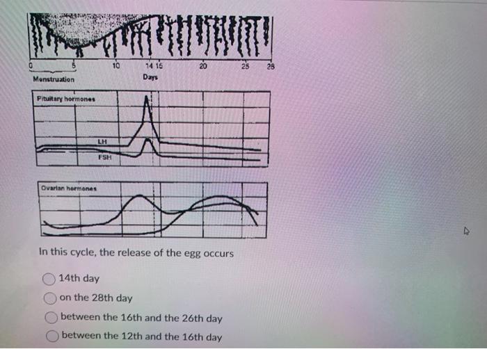 Solved These graphs show concentrations of three hormones, | Chegg.com